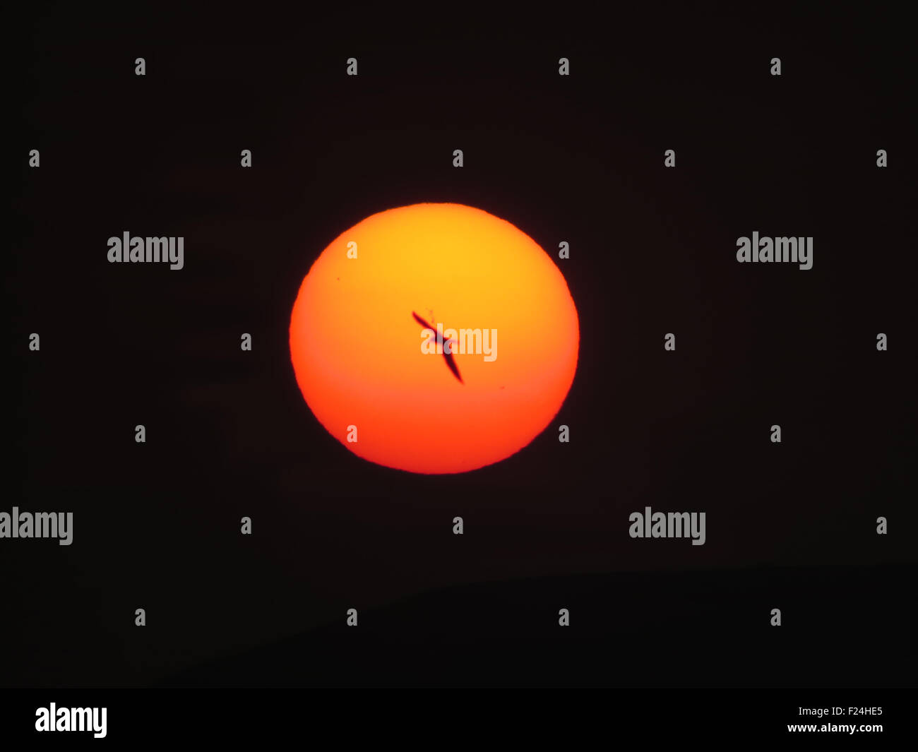 A silhouette of a flying bird over a huge setting orange sun Stock ...