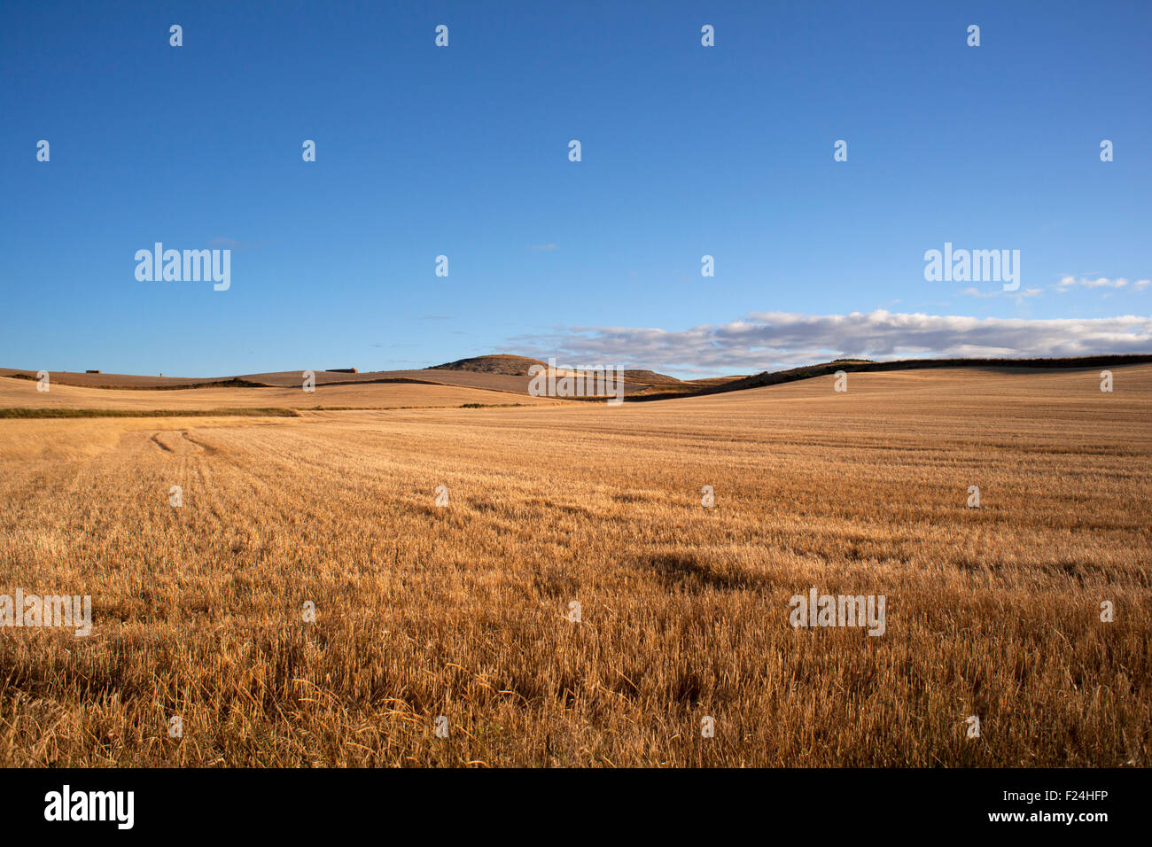View of Spanish countryside in the summer Stock Photo - Alamy