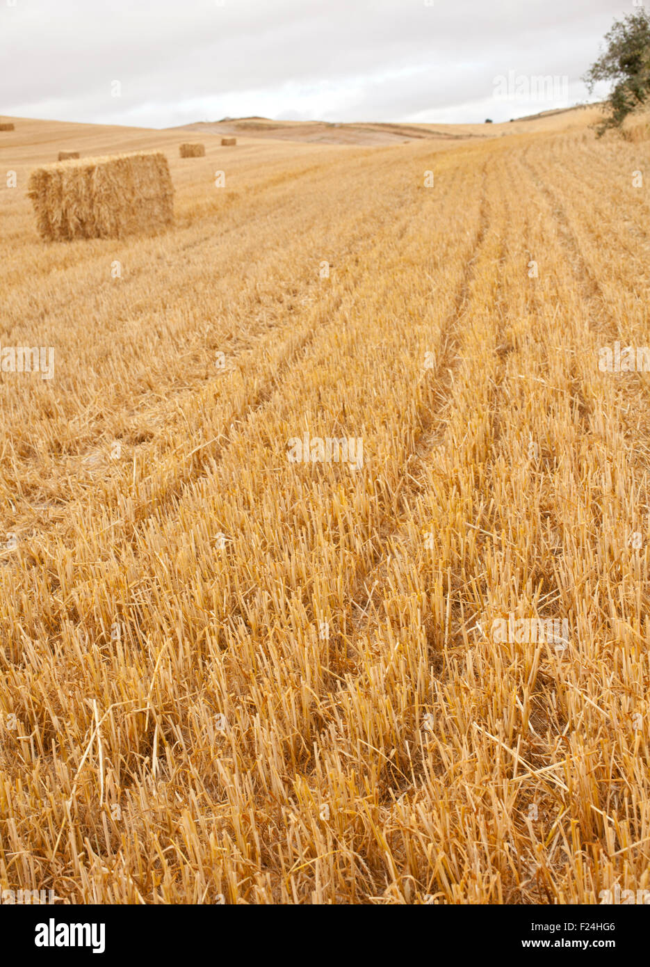 Bales of hay, spanish countryside Stock Photo - Alamy