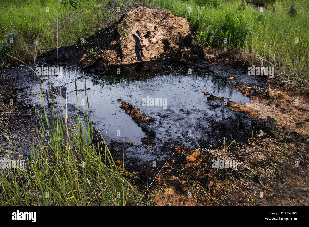 Light oil pollution hi-res stock photography and images - Alamy
