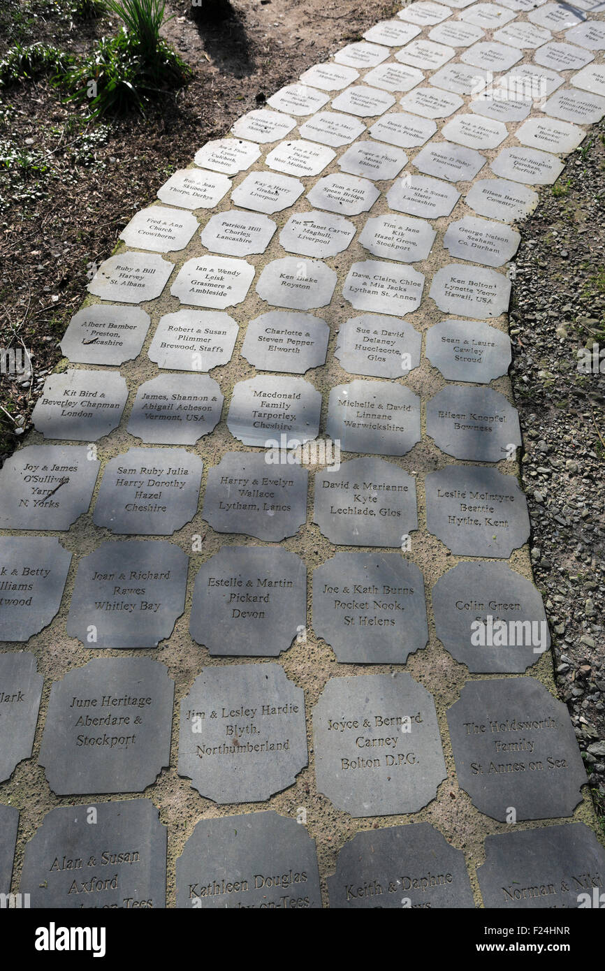 Spring Daffodils, Wordsworth Daffodil Garden, Grasmere village, Lake ...