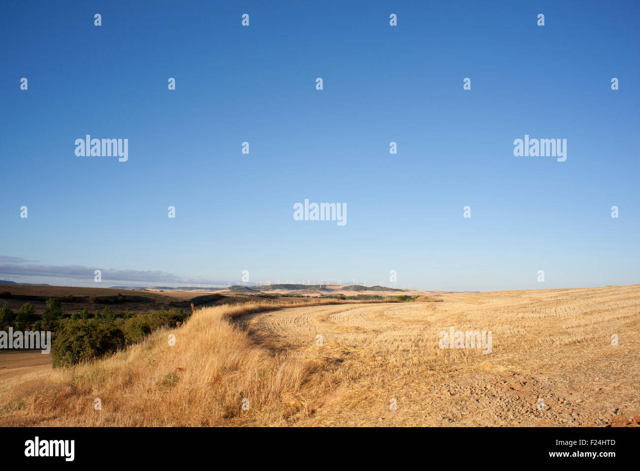 View of Spanish countryside in the summer Stock Photo - Alamy