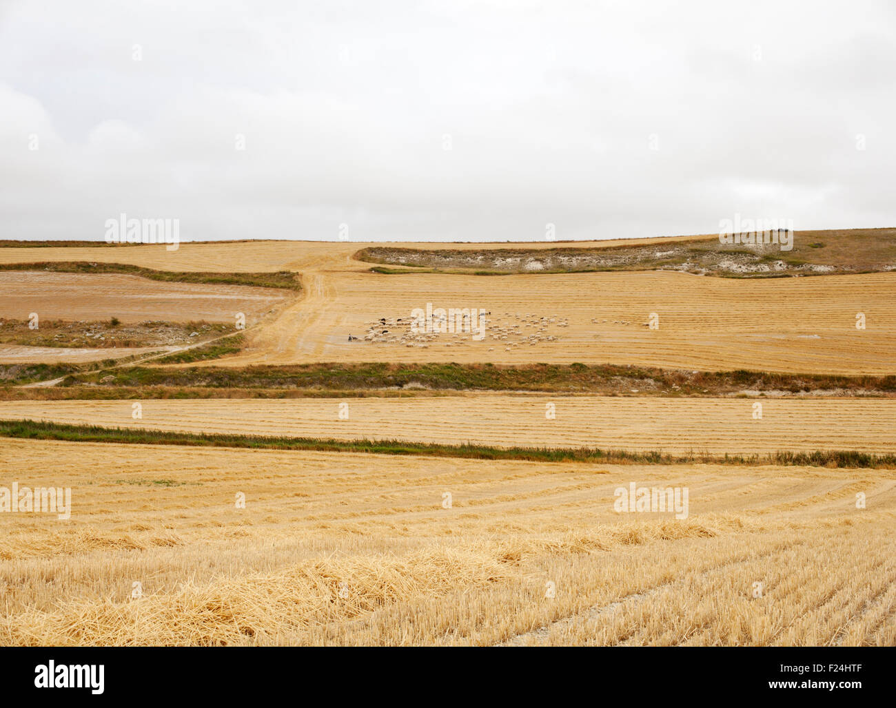 View of spanish countryside Stock Photo - Alamy