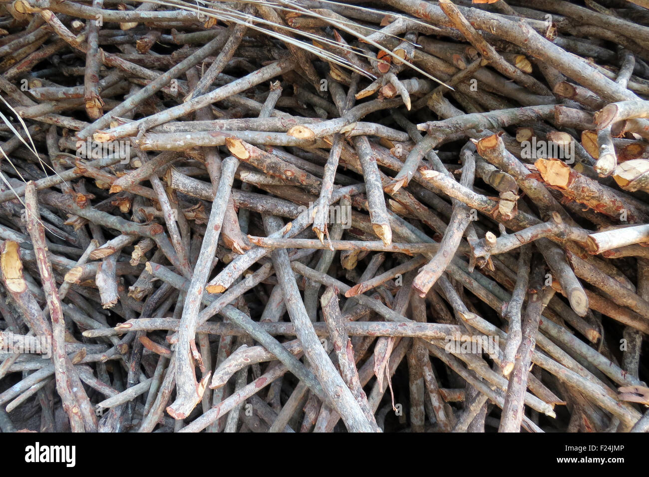 Stocked wood hi-res stock photography and images - Alamy