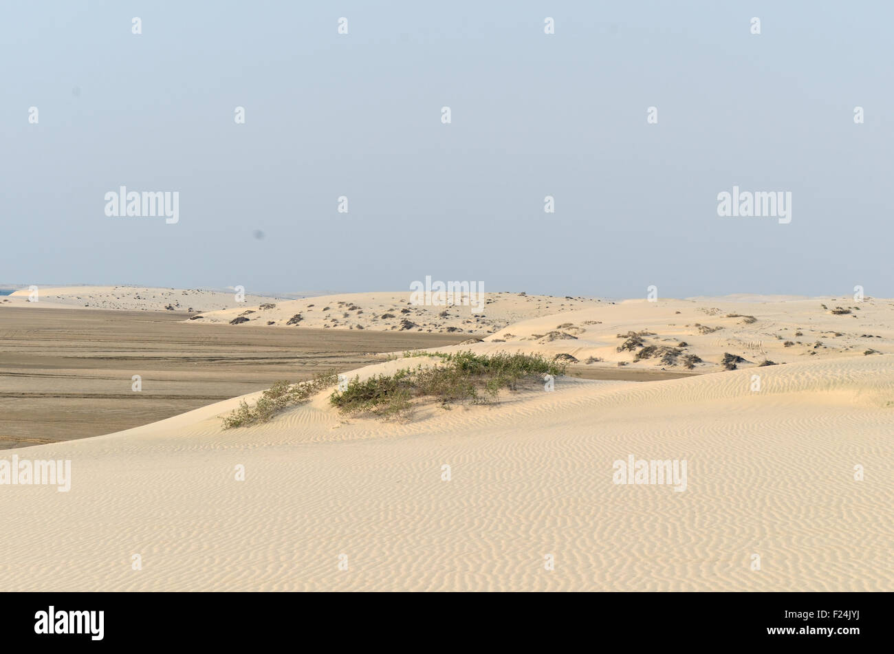 Desert landscape in Doha, Qatar Stock Photo - Alamy