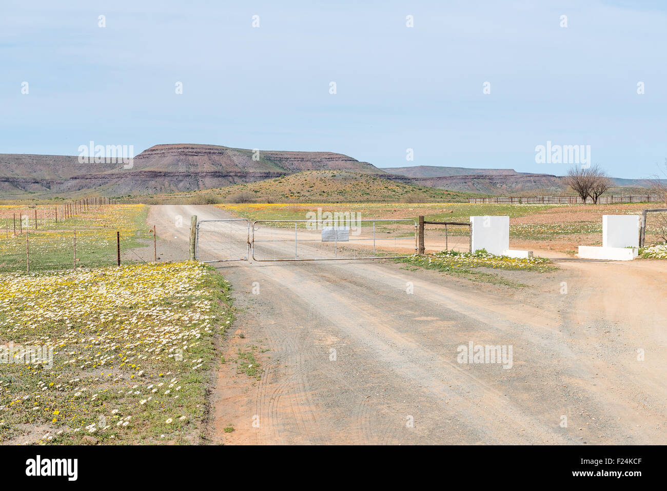 A typical sight on rural roads in South Africa - a gate for heavy ...