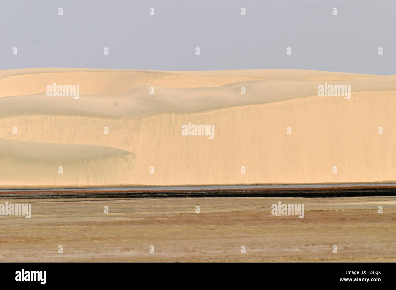 Desert landscape in Doha, Qatar Stock Photo - Alamy