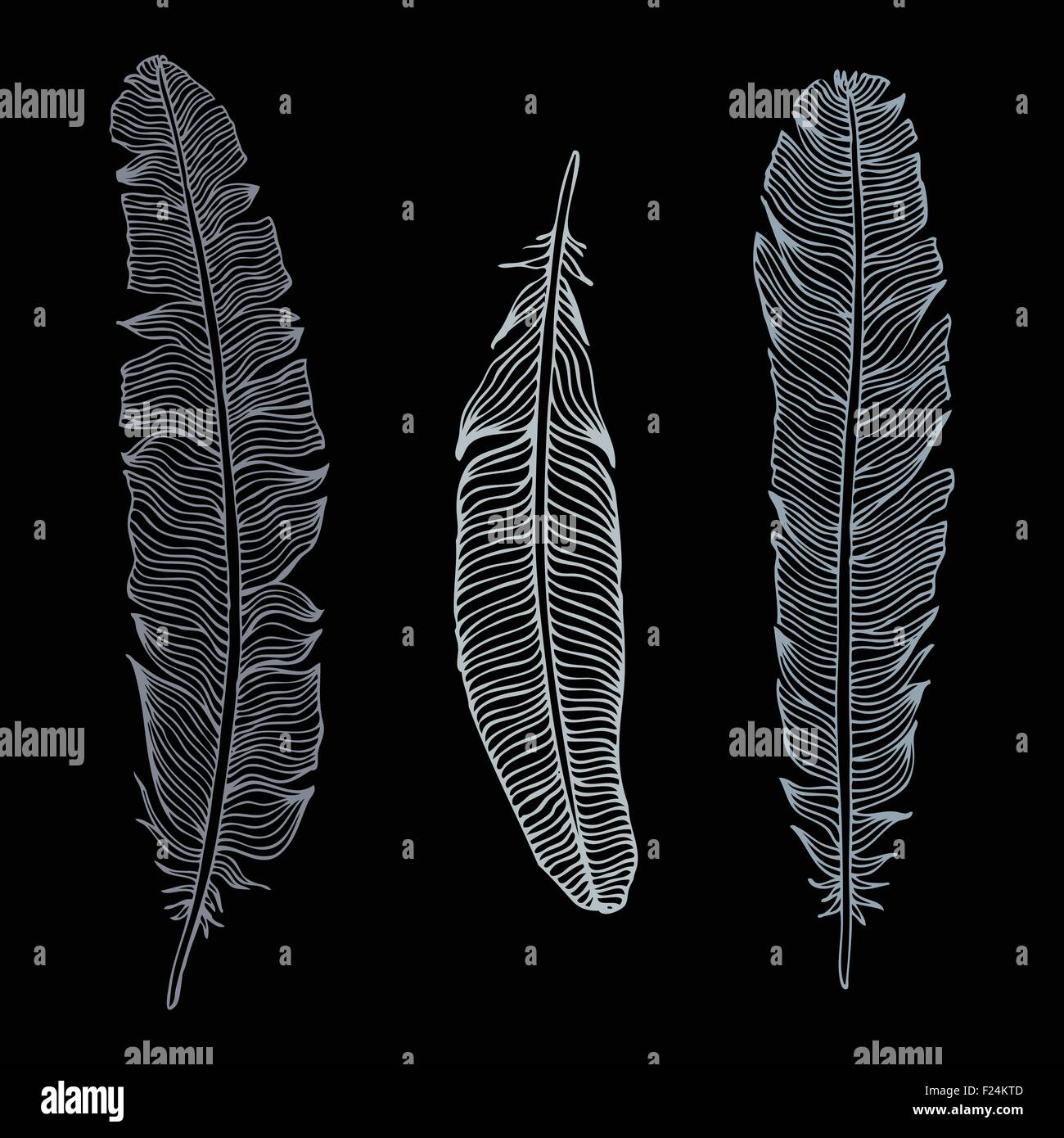 Beautiful Vintage Feathers Stock Vector Image & Art - Alamy