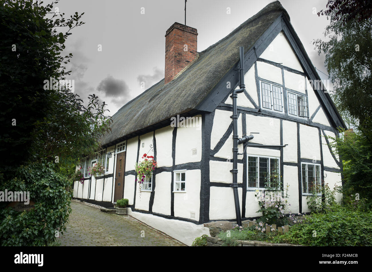 The sixteenth century thatched home at the village of Shottery (just ...