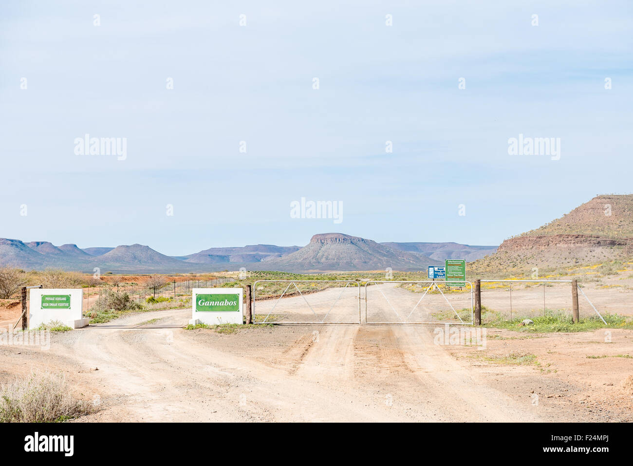 A typical sight on rural roads in South Africa Stock Photo - Alamy