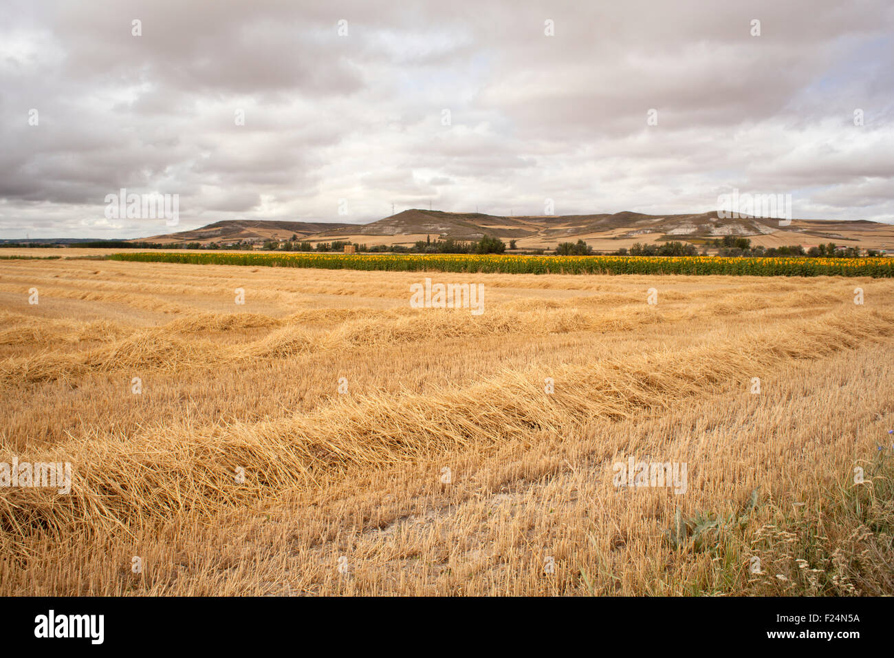 View of spanish countryside Stock Photo - Alamy