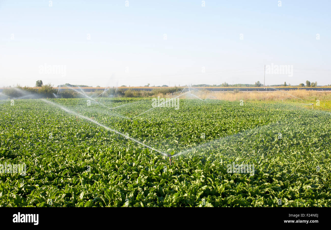 Irrigating farms hi-res stock photography and images - Alamy