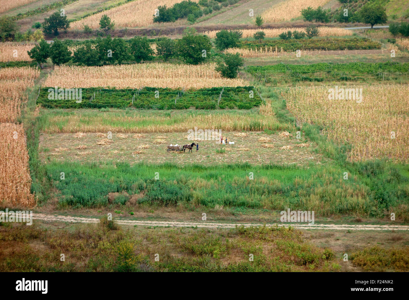 Moldova rural hi-res stock photography and images - Alamy