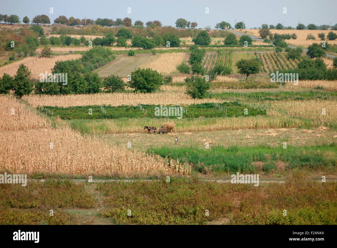 Moldova rural hi-res stock photography and images - Alamy