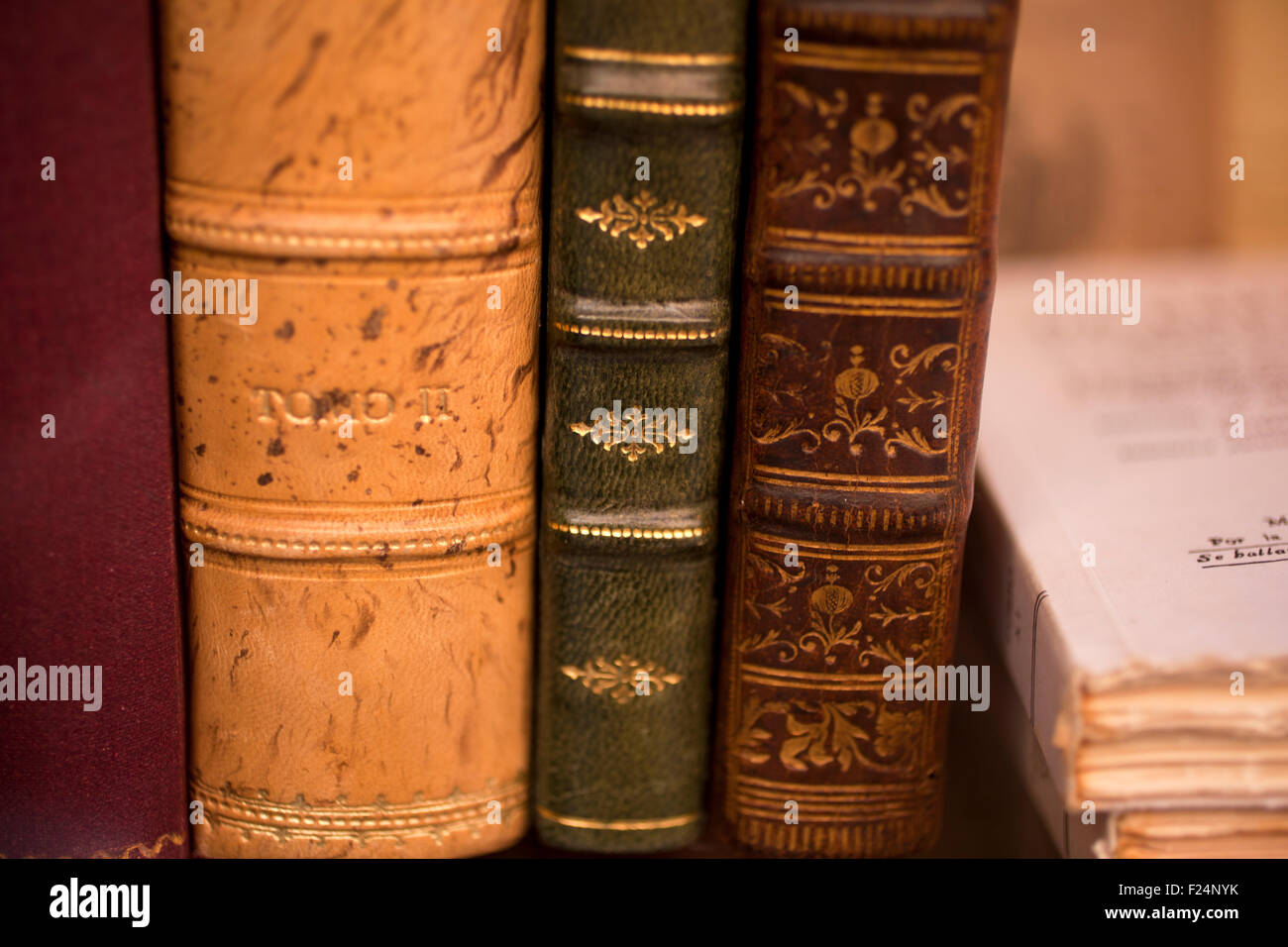 Giant Stack Of Poems