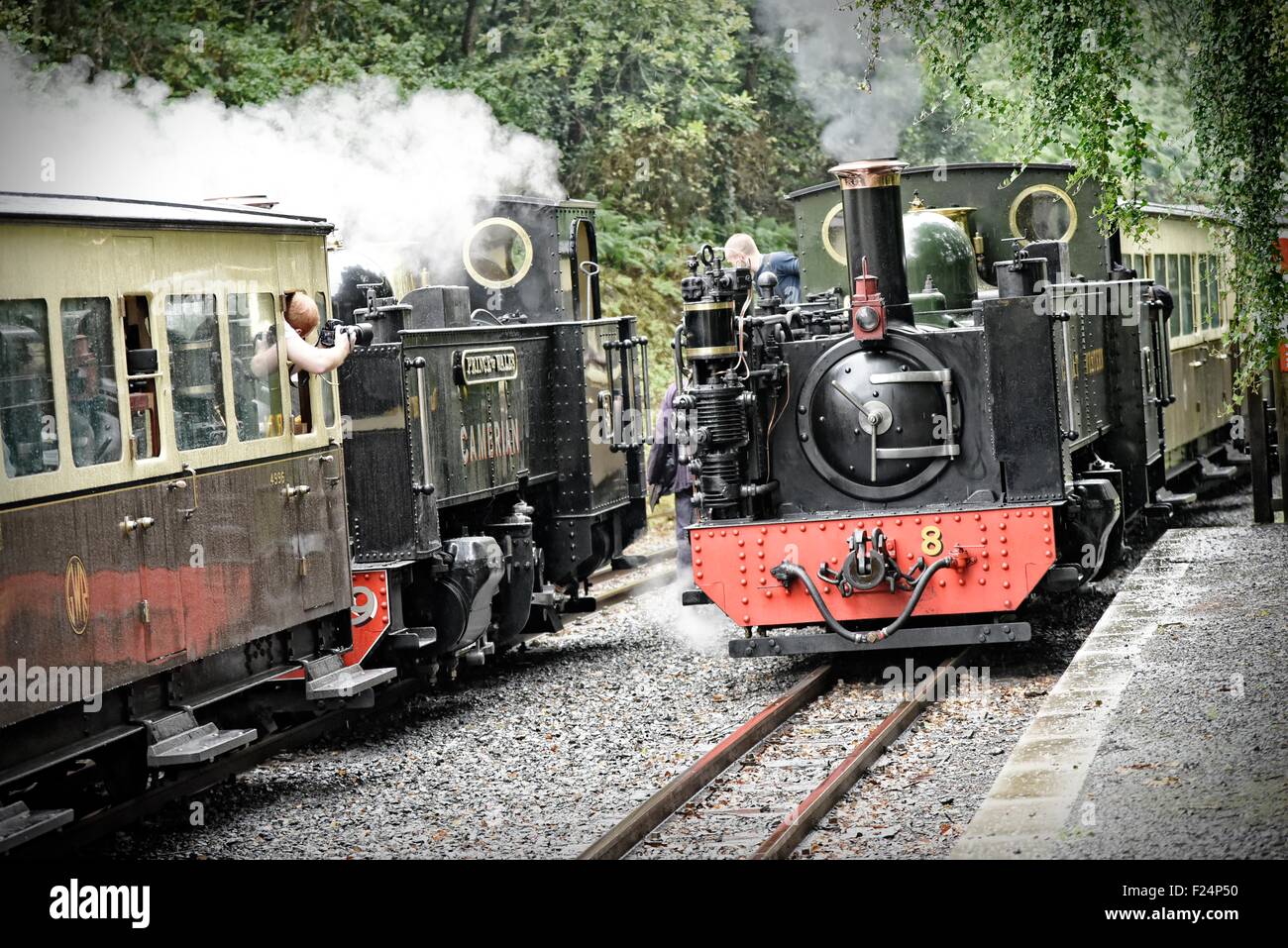 The Vale of Rheidol Railway (Welsh: Rheilffordd Cwm Rheidol) is a 1 ft ...