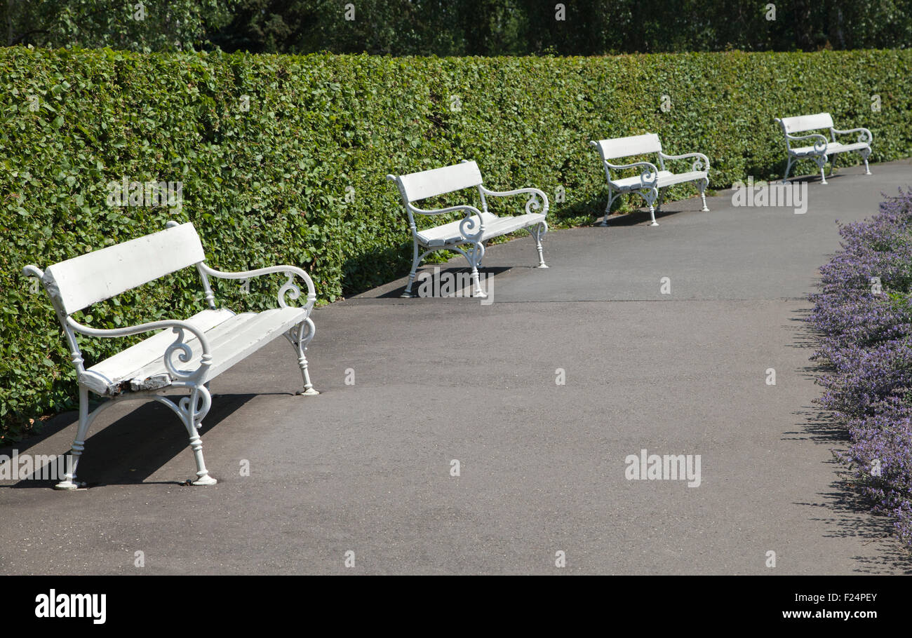 Row of white benches in a park Stock Photo - Alamy