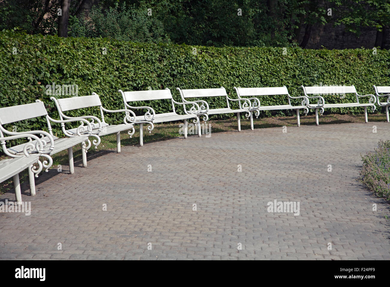 Row of white benches in a park Stock Photo - Alamy