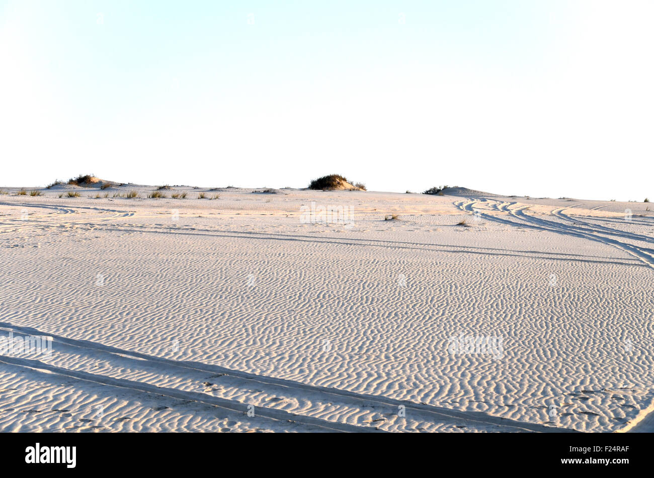 Desert landscape in Doha, Qatar Stock Photo - Alamy