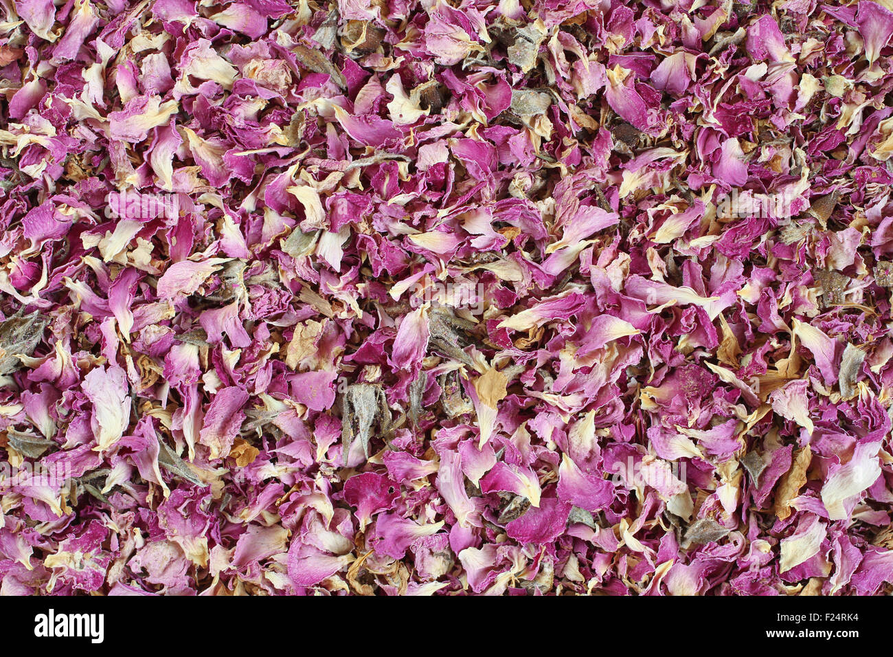Dry rose petals background Stock Photo - Alamy