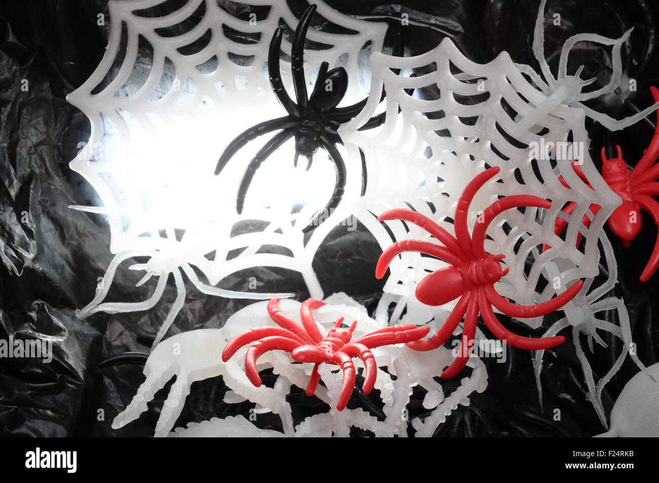 Close up Plastic spider and web for Halloween background Stock Photo ...