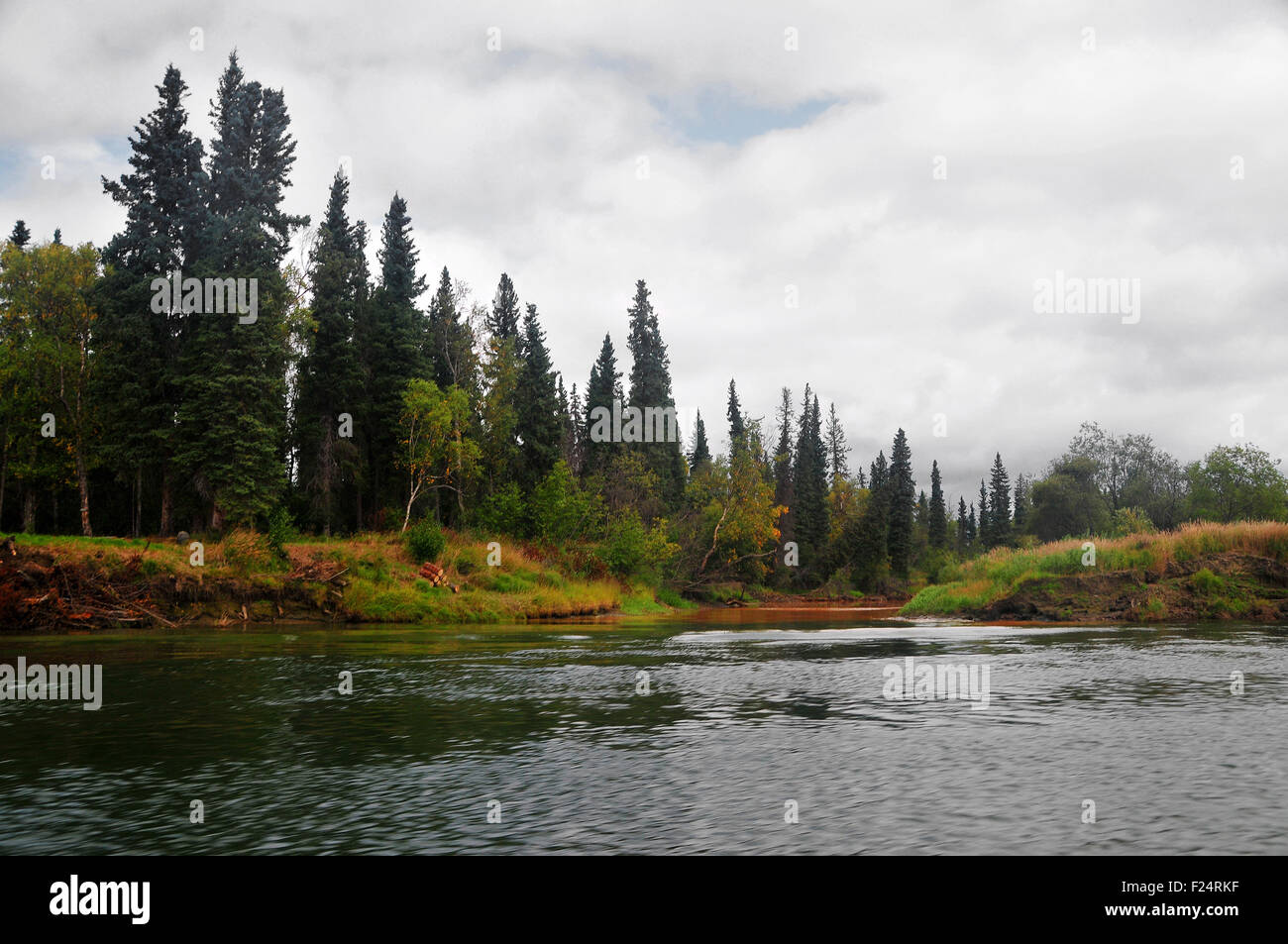 Alaska's Aniak River and its braids offer great fly fishing for silver ...