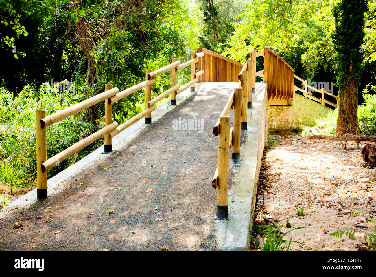 Wood bridge in the forest Stock Photo - Alamy