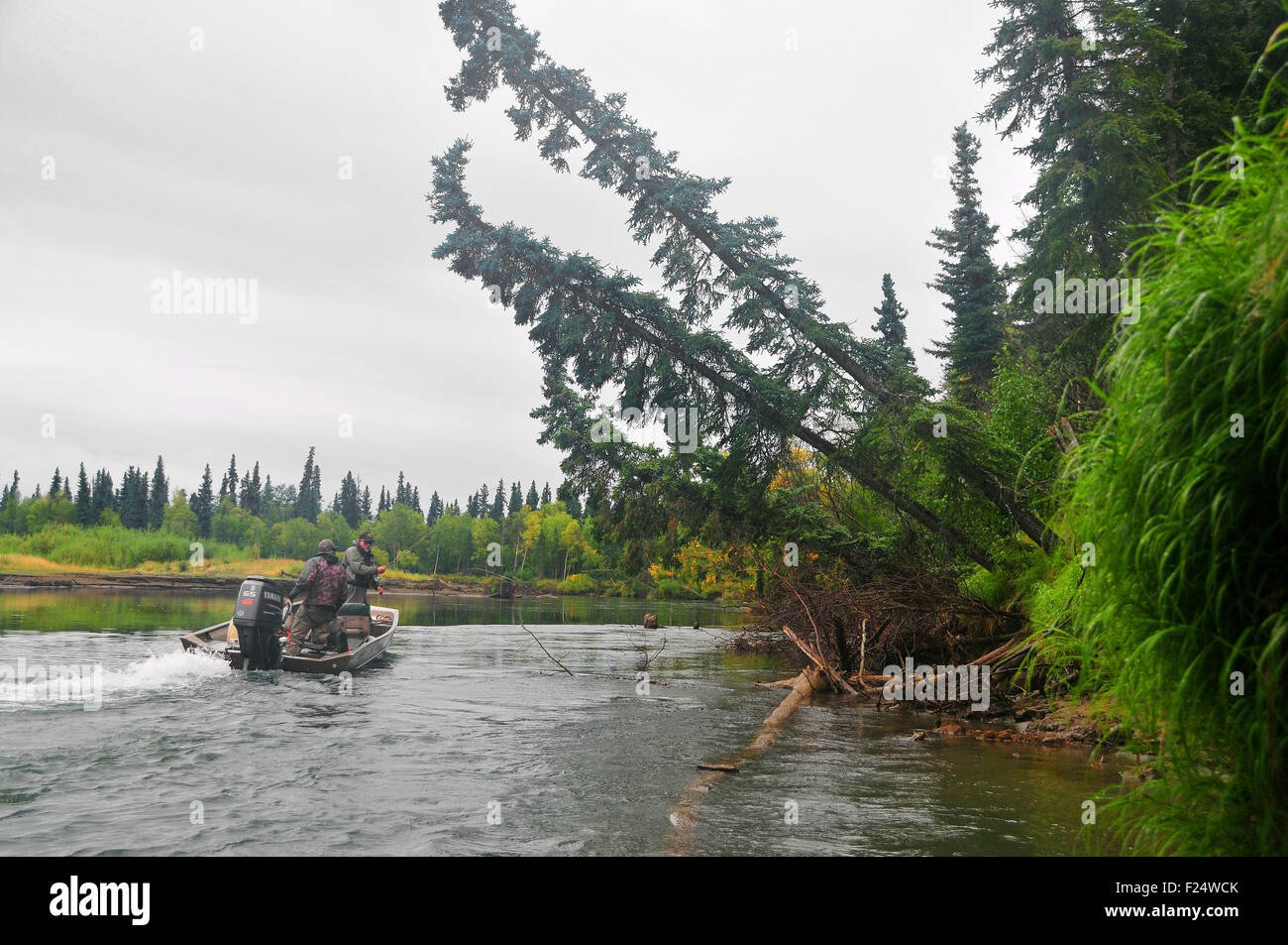 Alaska's Aniak River and its braids offer great fly fishing for silver ...