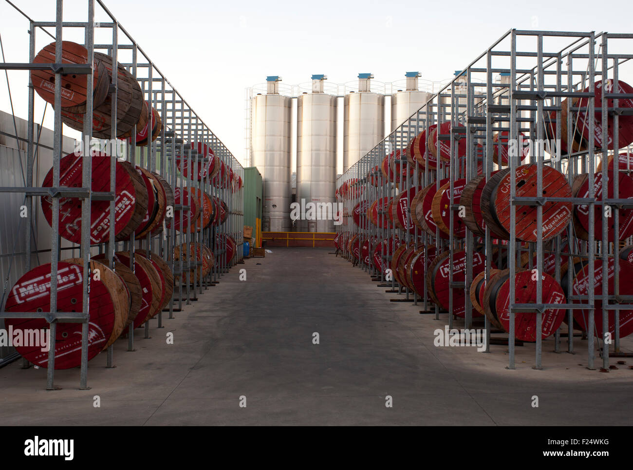 Silus hi-res stock photography and images - Alamy