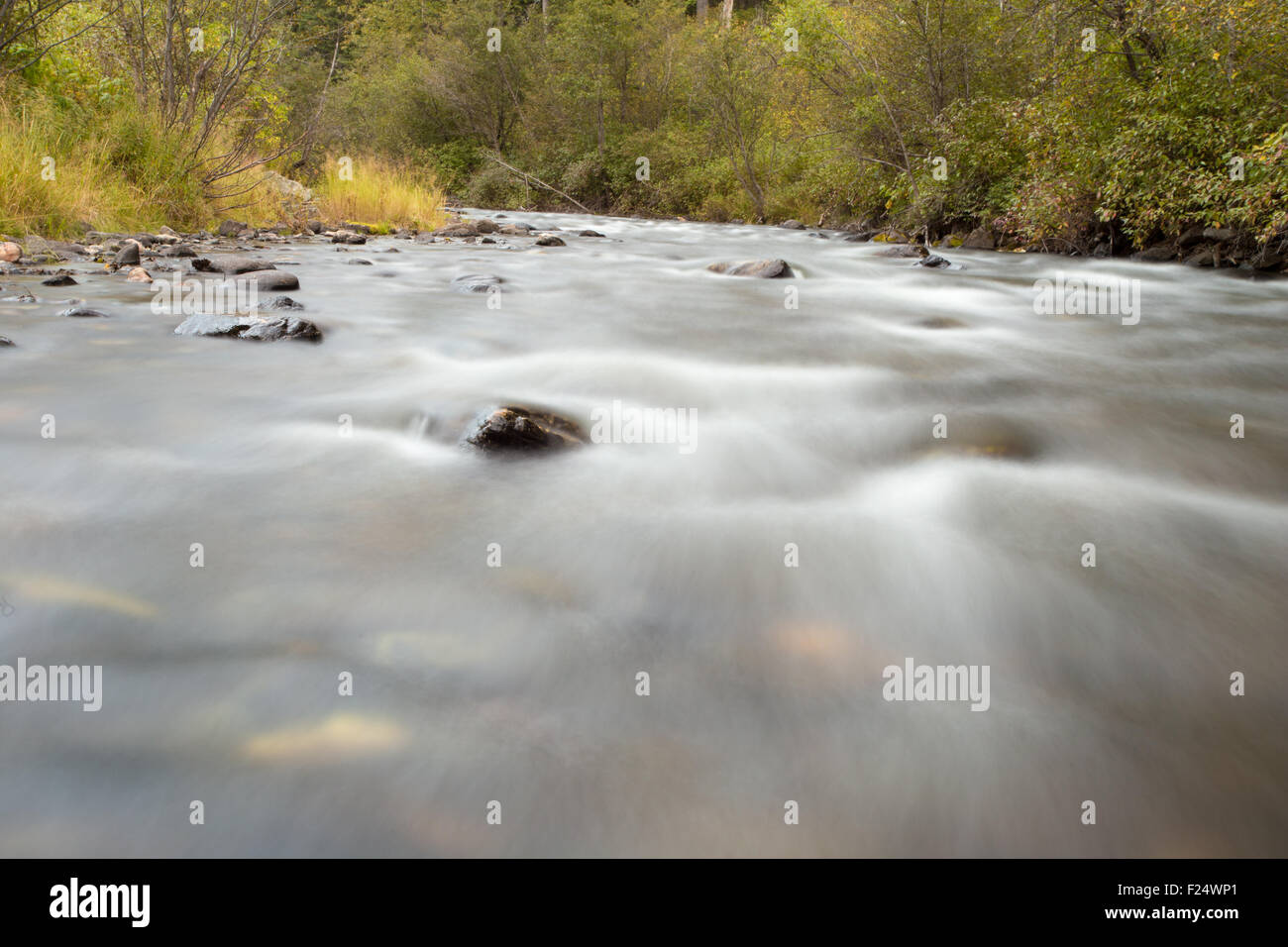 Nature blur river hi-res stock photography and images - Alamy