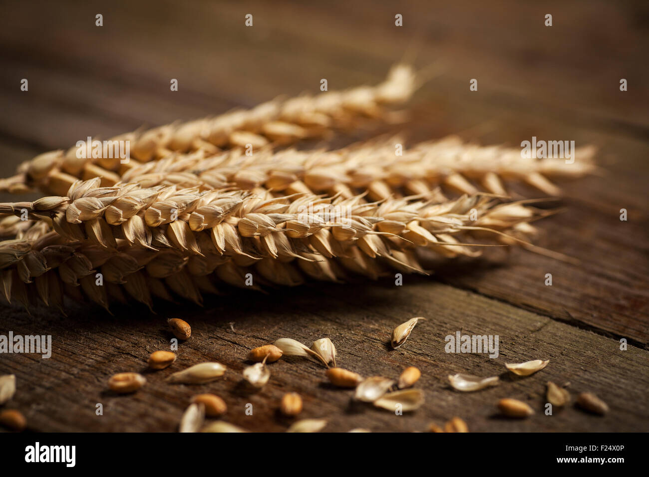 Ears of wheat on a rustic wooded surface Stock Photo - Alamy