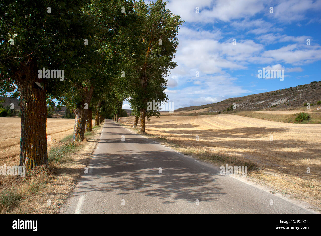 Road in the countryside, way of St. James - Spain Stock Photo - Alamy
