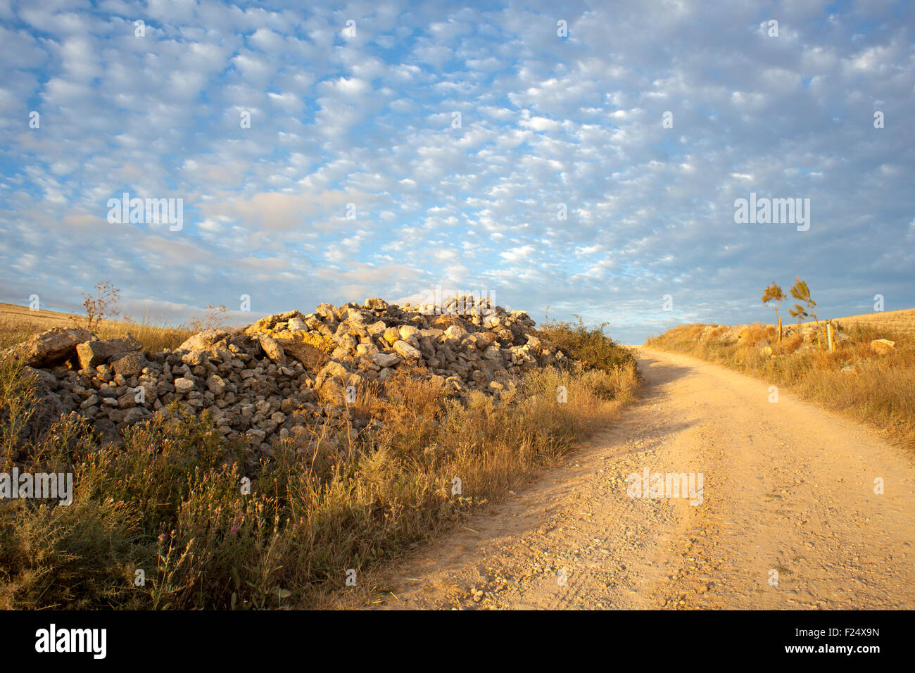 Road in the countryside, way of St. James - Spain Stock Photo - Alamy