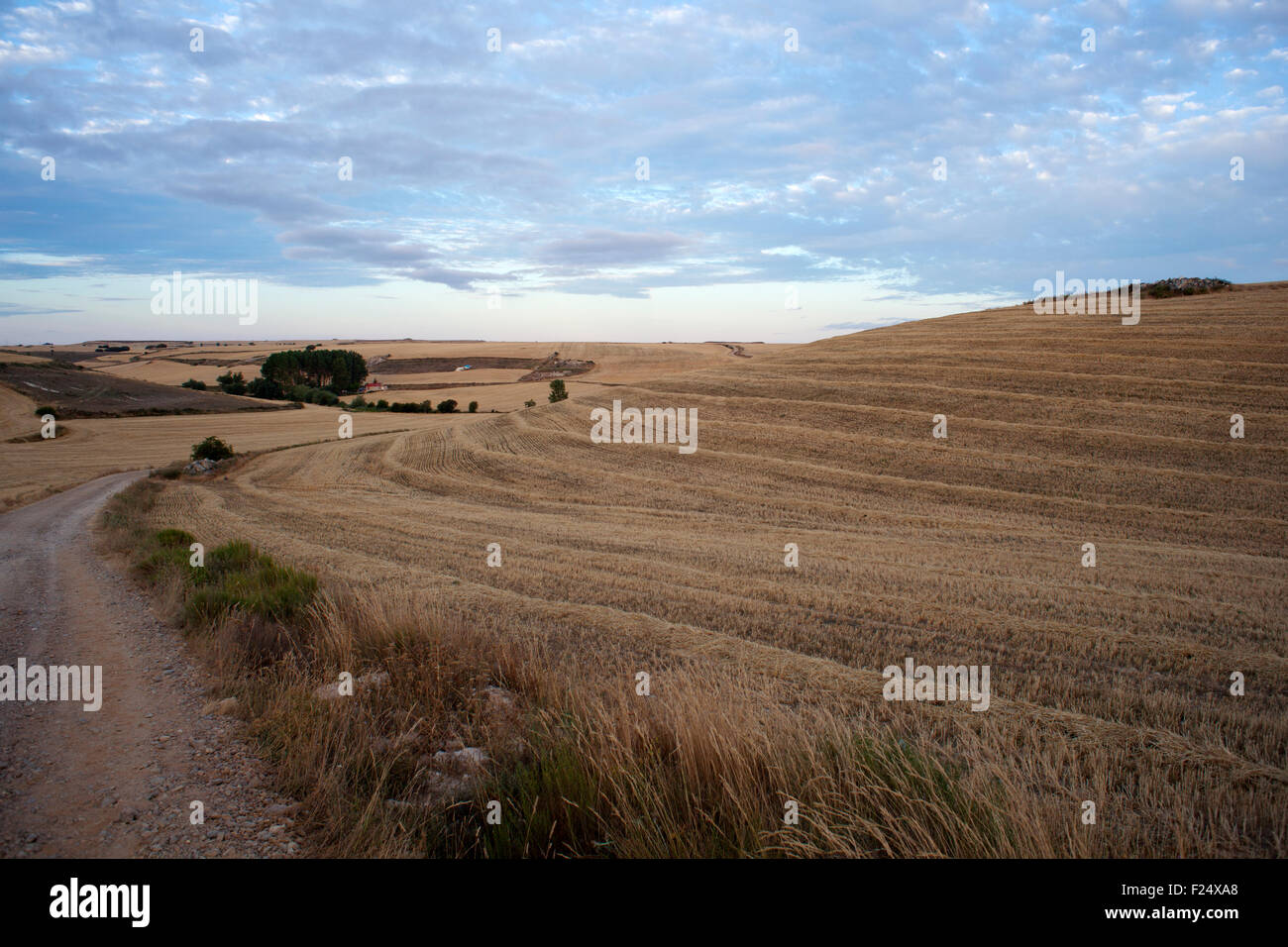 Road in the countryside, way of St. James - Spain Stock Photo - Alamy