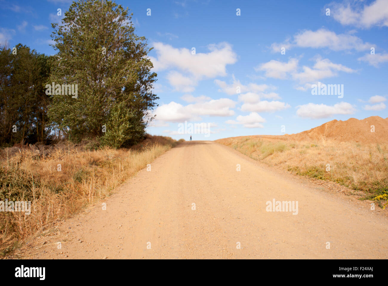 View of Spanish countryside in the summer Stock Photo - Alamy