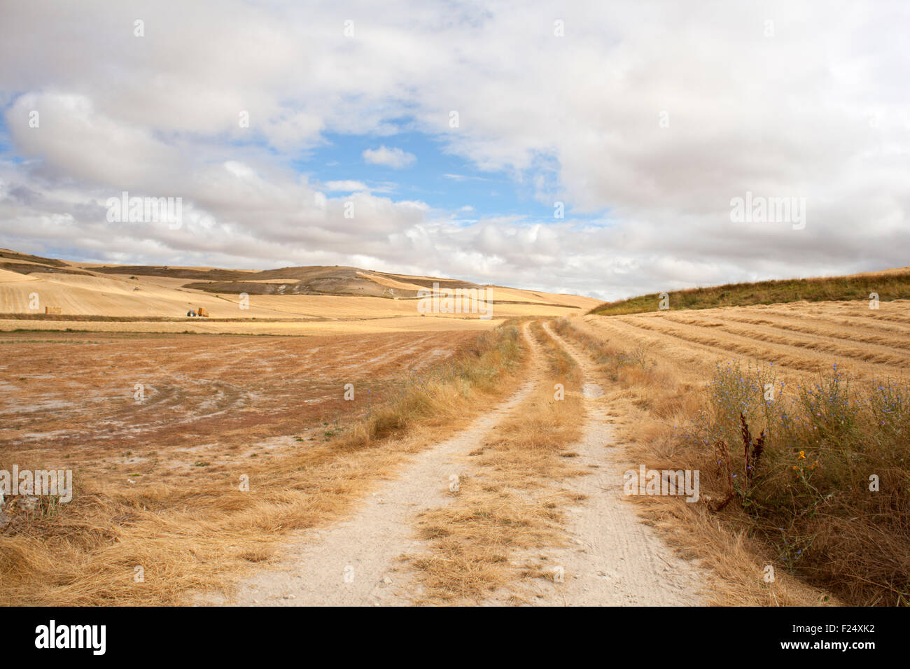 Road in the spanish countryside, way of st. James Stock Photo - Alamy