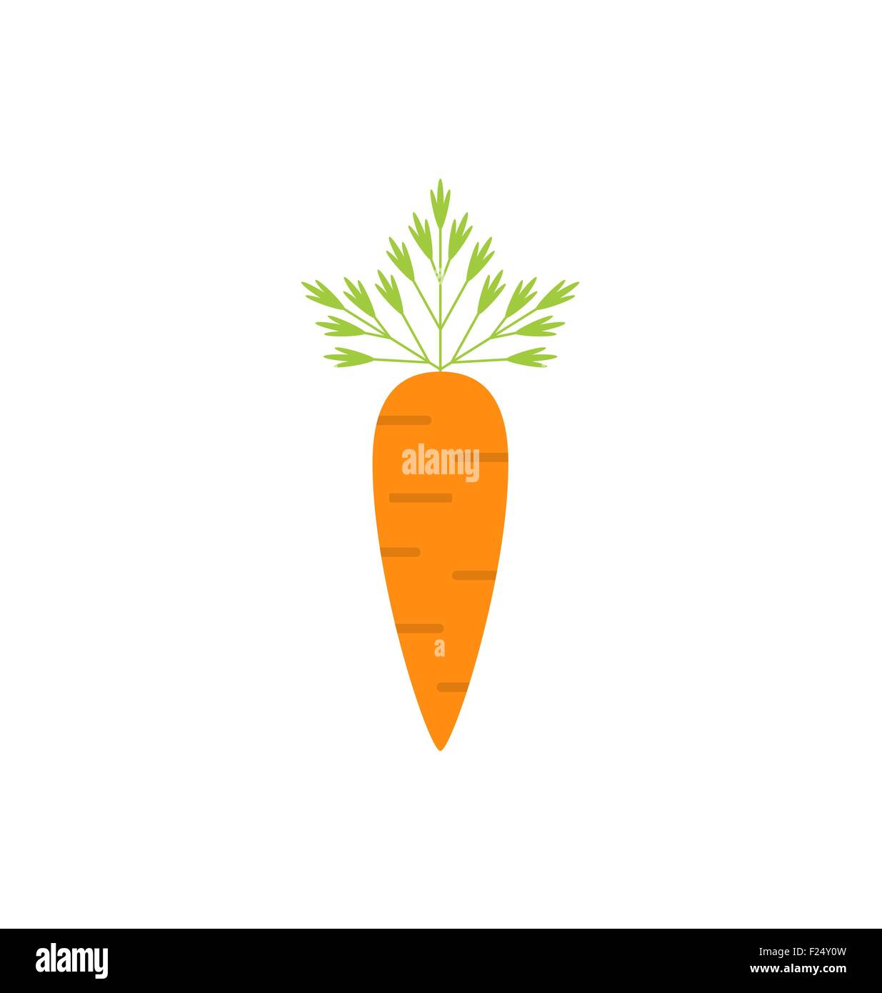 Ripe Carrot Isolated Stock Vector Image & Art - Alamy Ripe Carrot Isolated Stock Vector Image & Art - Alamy