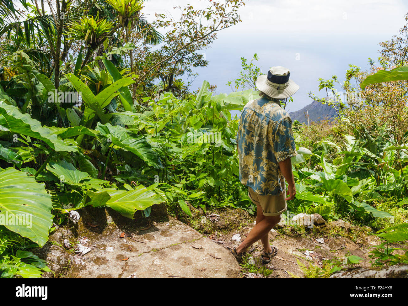 Person from back scenery hi-res stock photography and images - Alamy