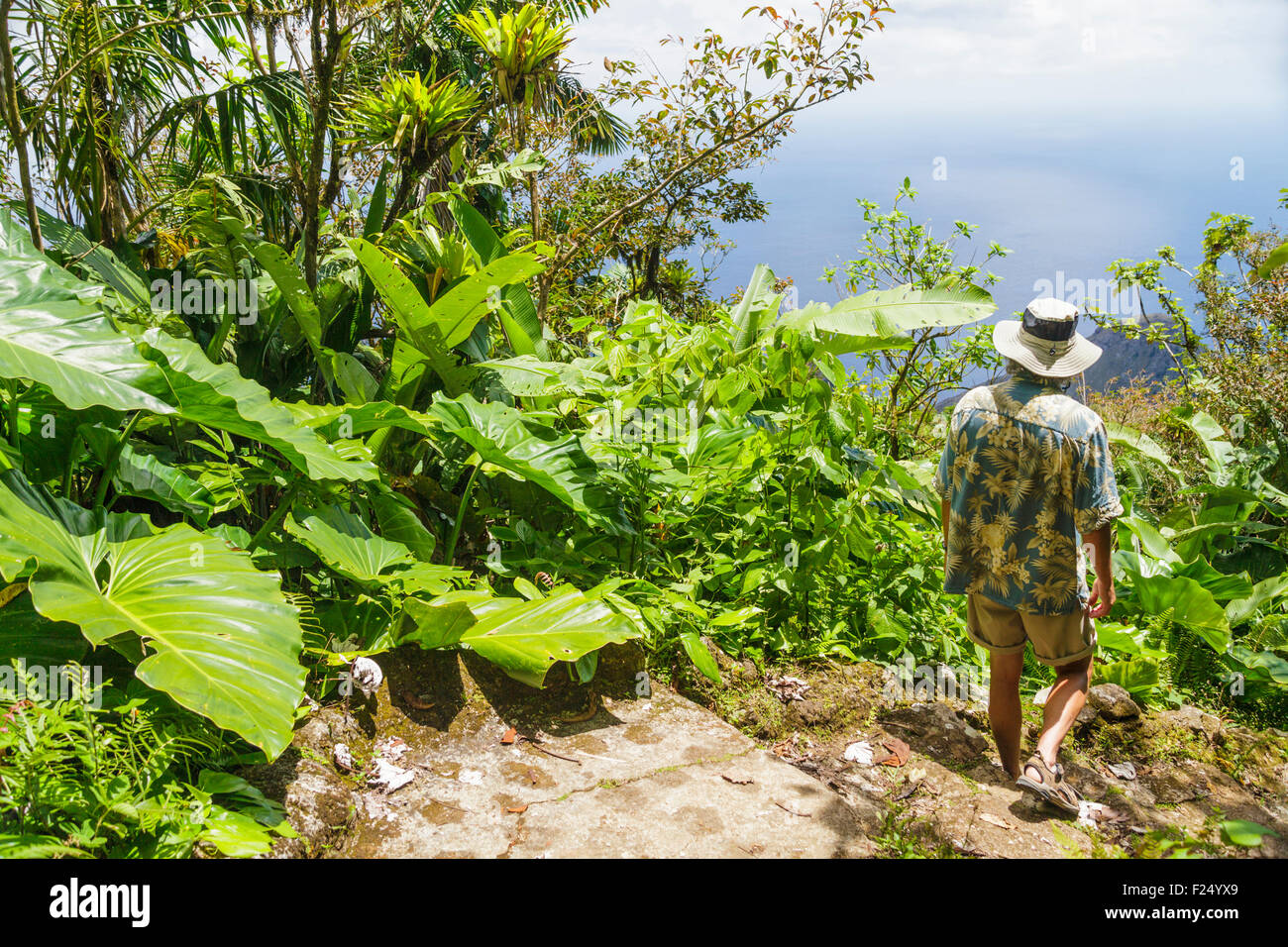 Hiker on the trail at Mt. Scenery on Saba sees the ocean in the ...