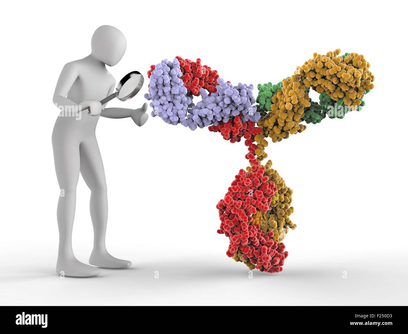 3d human magnifying glass hi-res stock photography and images - Alamy