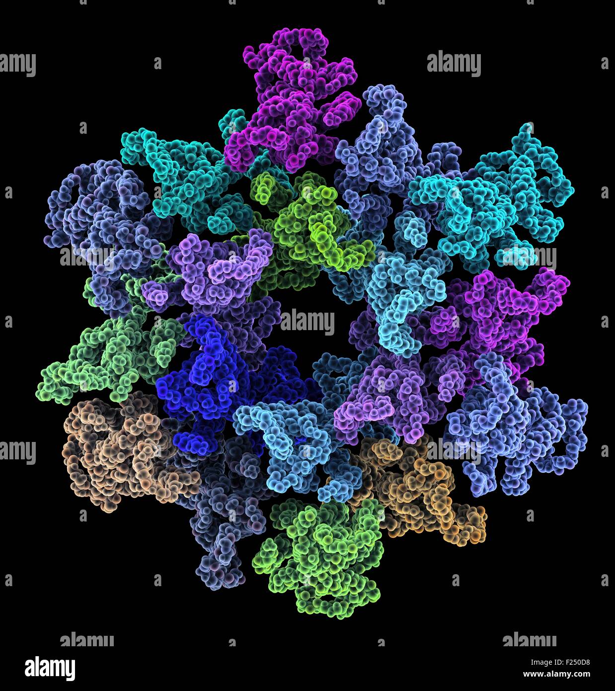 Frontal view of a molecular representation of an immature human immunodeficiency virus type 1 ...