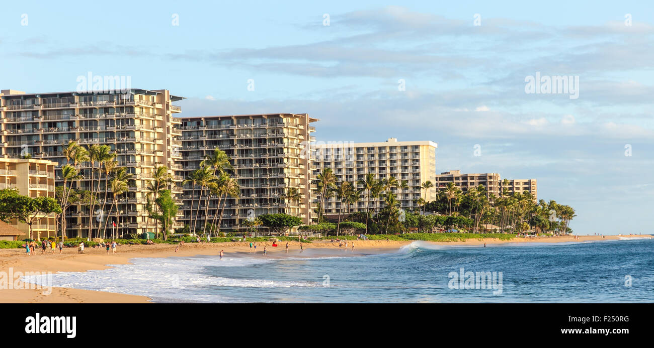 Light families and nature hi-res stock photography and images - Alamy