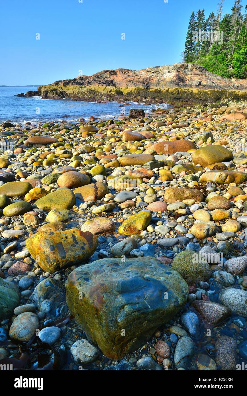 Atlantic Ocean coastal scene along Otter Cliffs in Acadia National Park ...