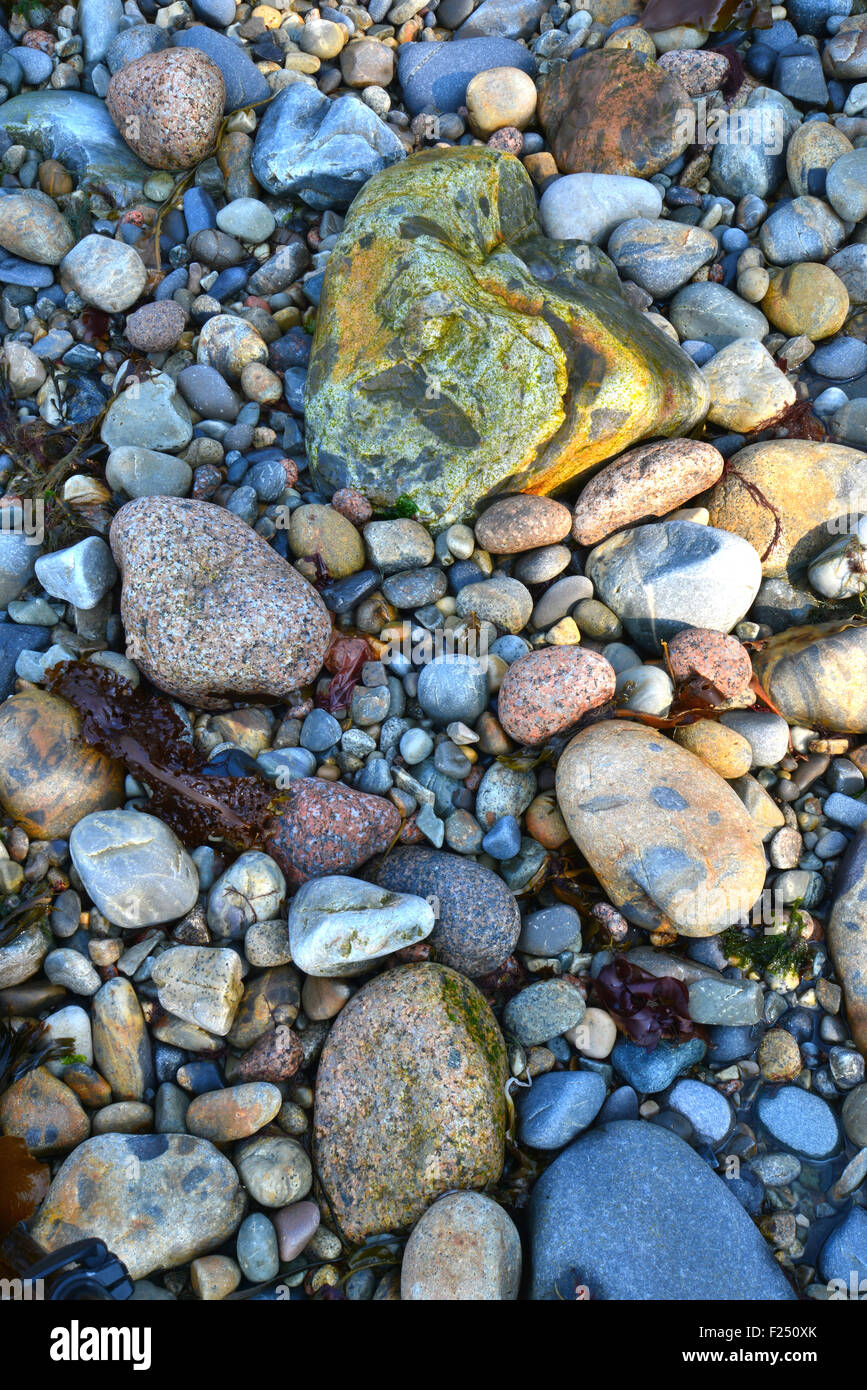 Atlantic Ocean coastal scene along Otter Cliffs in Acadia National Park ...