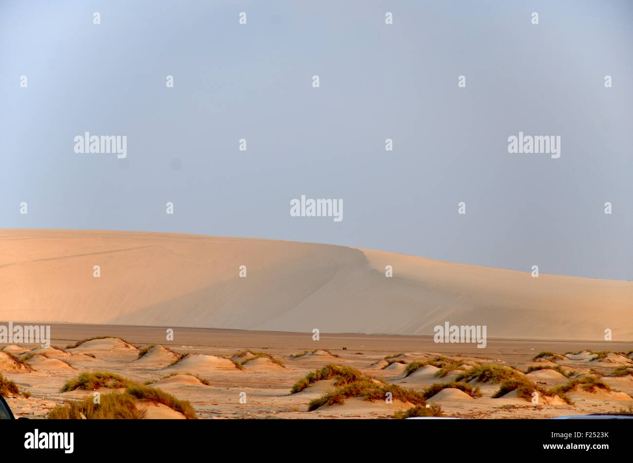 Desert landscape in Doha, Qatar Stock Photo - Alamy