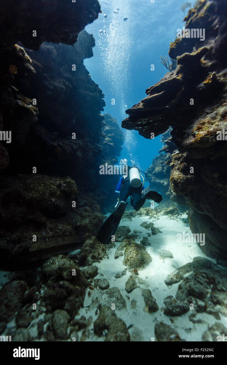Diver swims through a narrow passage in a coral reef Stock Photo - Alamy