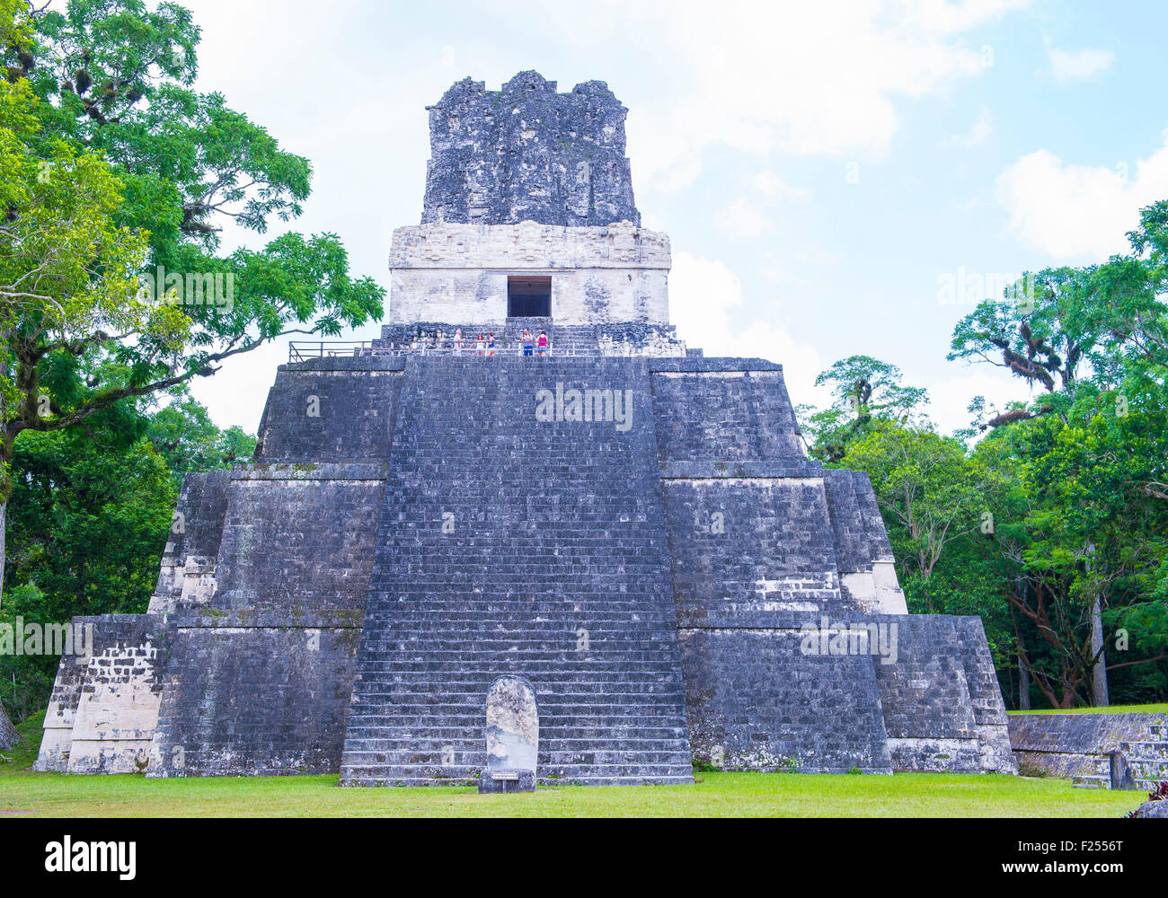 The archaeological site of the pre-Columbian Maya civilization in Tikal ...