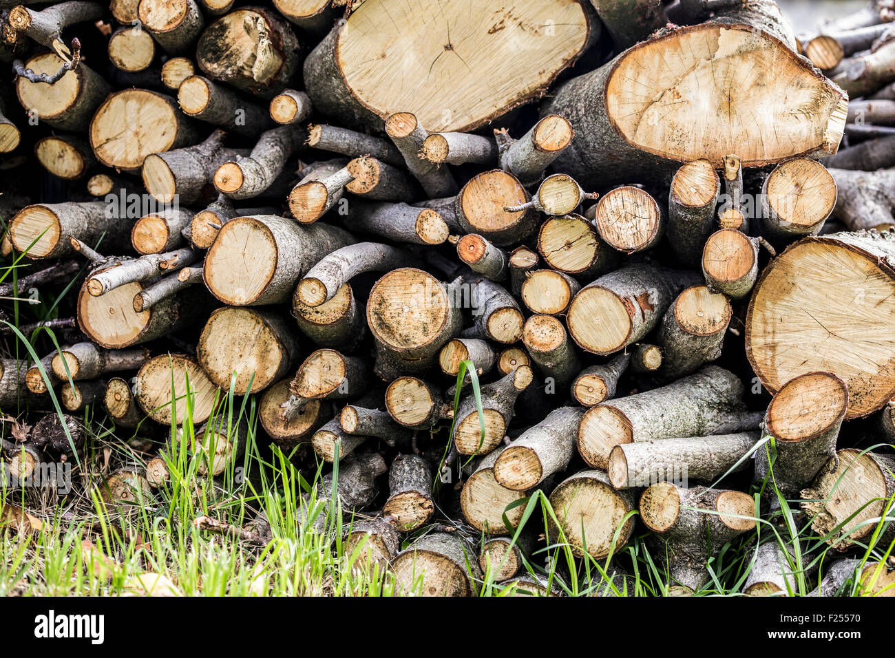 Stacked wood hi-res stock photography and images - Alamy