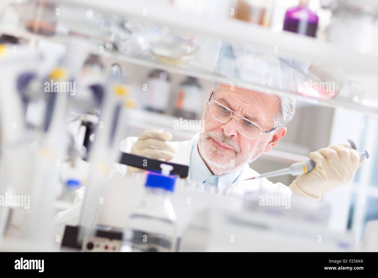 Life scientist researching in the laboratory Stock Photo - Alamy