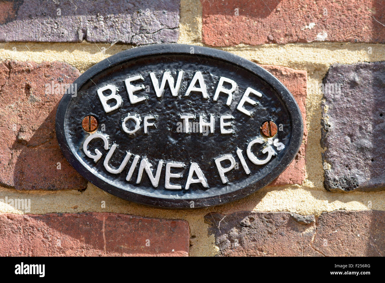 Guinea pig house hi-res stock photography and images - Alamy